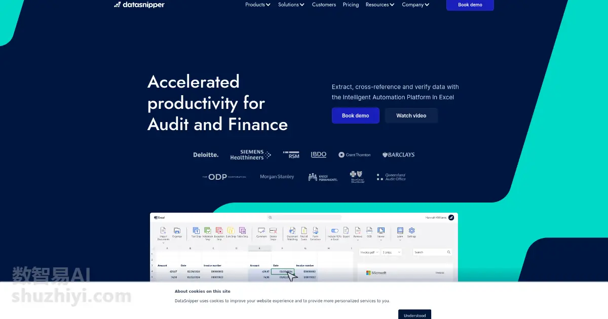 AI赋能：DataSnipper简化Excel数据提取与验证分析 - 数智易AI